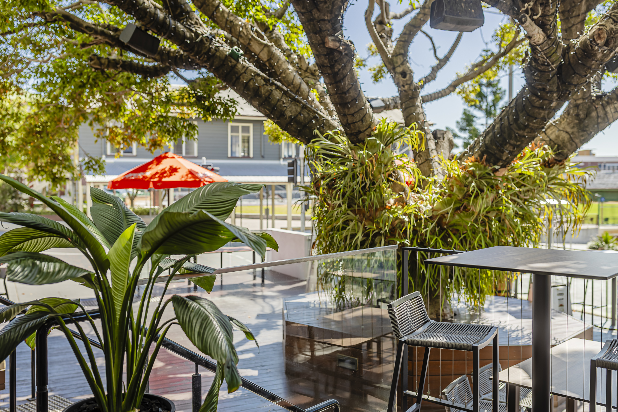 Bar Gusto - Bar in Fortitude Valley